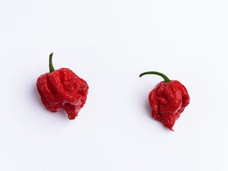 Carolina Reaper Hot Pepper Info – Growing Carolina Reaper Peppers ...