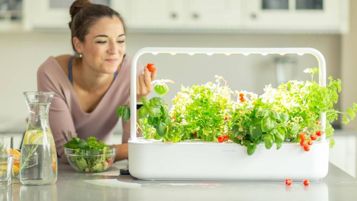 This smart gardening tool has made my indoor plants thrive | T3