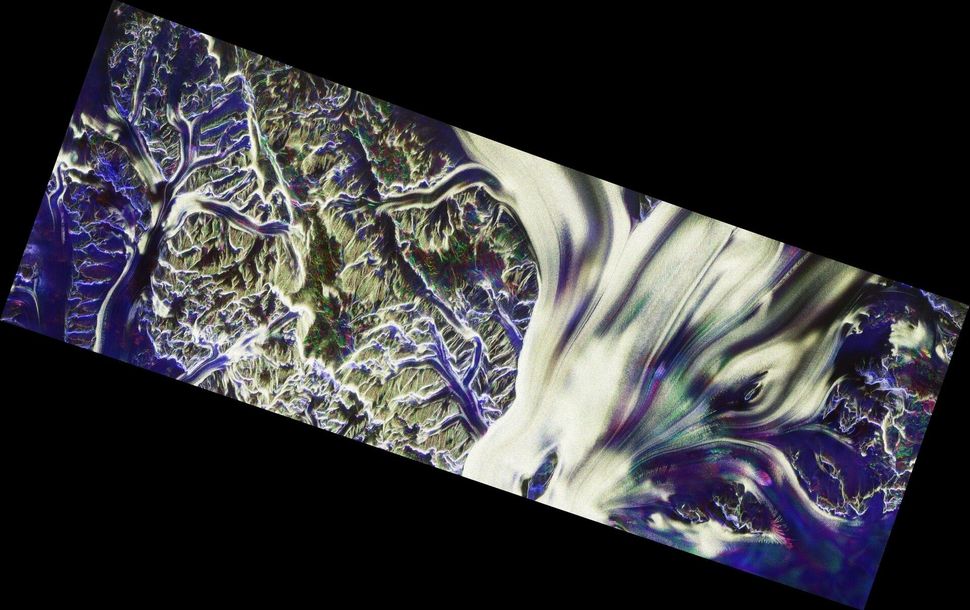'Nothing short of spectacular': ESA's Biomass satellite releases 1st ...