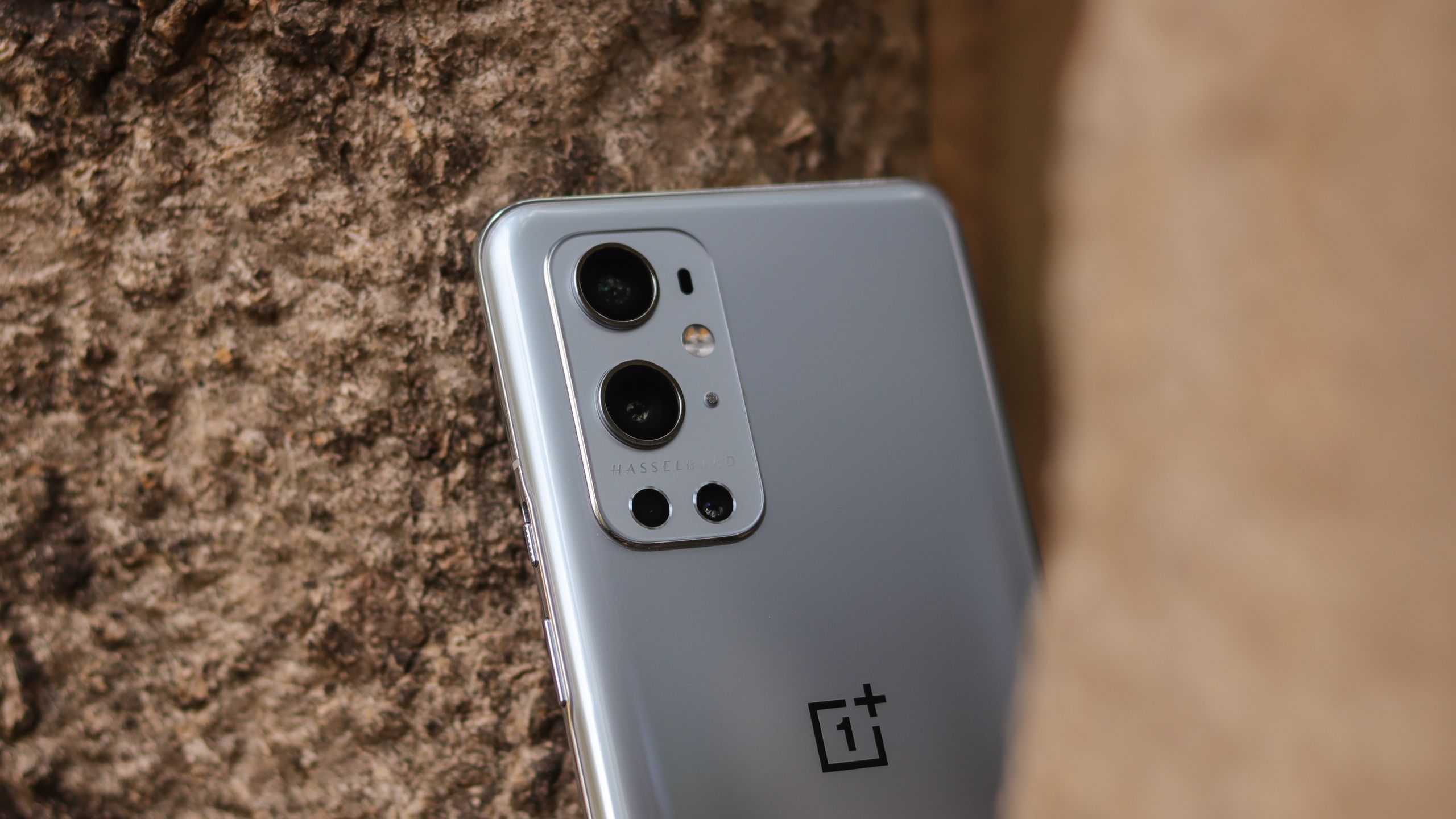 OnePlus 9T could finally bring better photography with major hardware ...