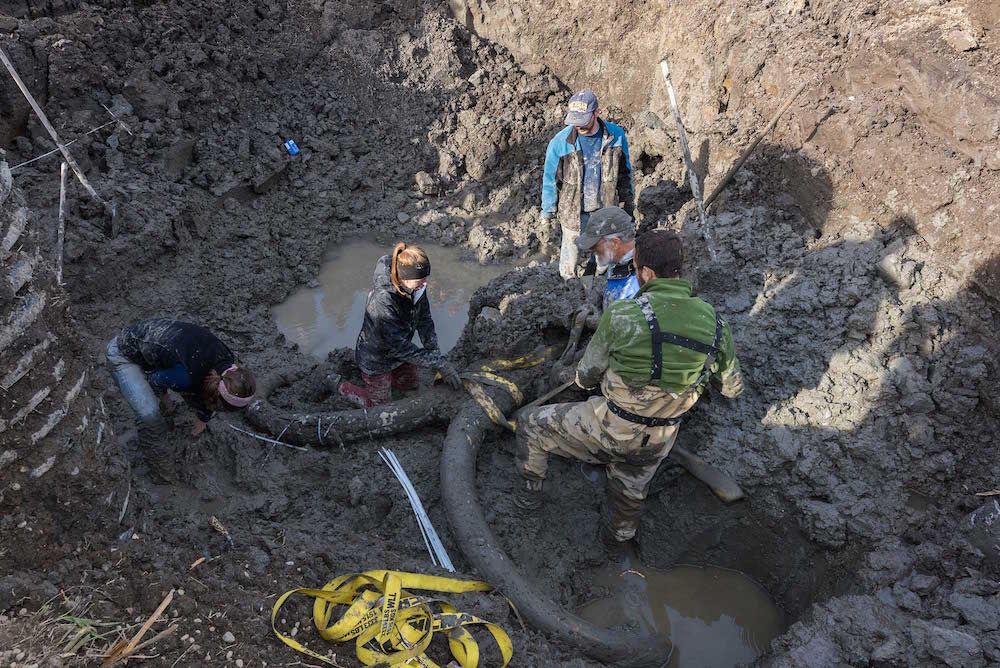 Photos: Mammoth Bones Unearthed from Michigan Farm | Live Science