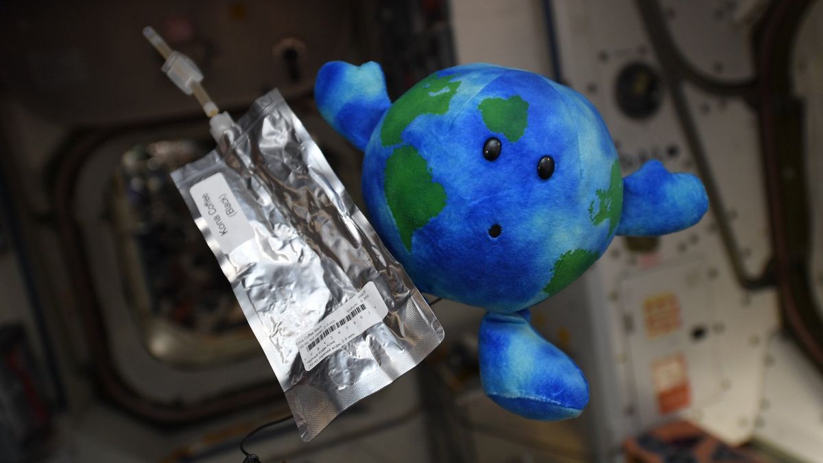 In Photos: Space Station Astronauts Bond with Little Earth 'Celestial ...