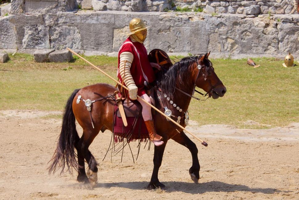 Photos: Gladiators of the Roman Empire | Live Science