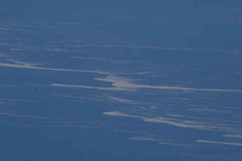 In Photos: A Floating 'Island' of Rocks | Live Science