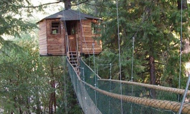Reality show drive-by: Ultimate Treehouses | The Week