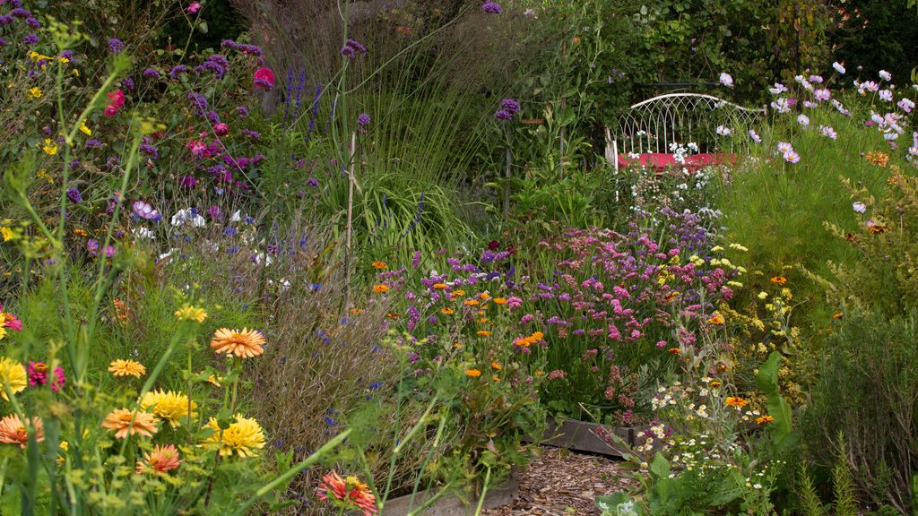 Wildlife garden: how to create one and what to plant | Real Homes