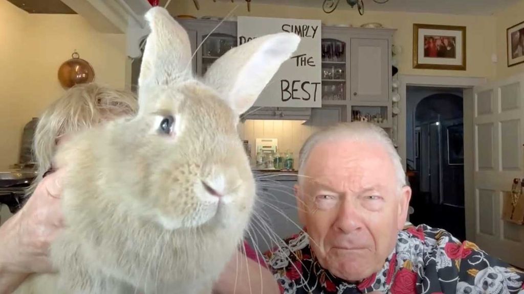 Robert Fripp and Toyah Willcox troll audience with rabbits | Louder