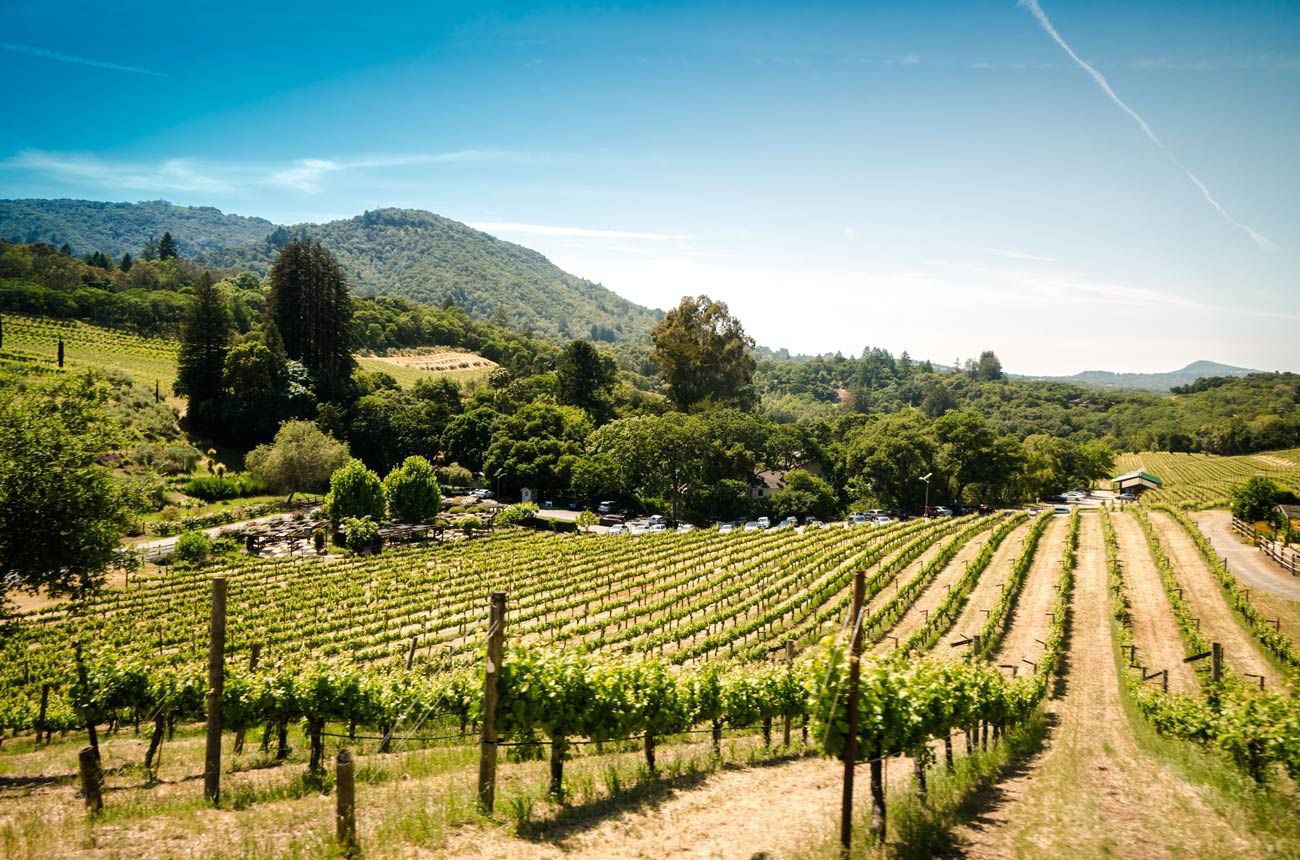 California wineries prepare for visitors and a new normal | Decanter