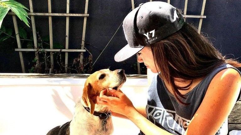 Harry and Meghan’s dogs are the canine companions with stories to melt ...