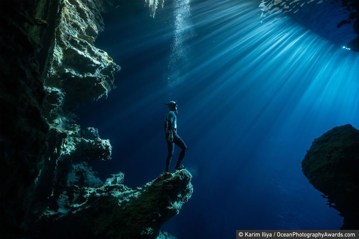 Dive deep into the ocean with these stunning underwater photographs ...