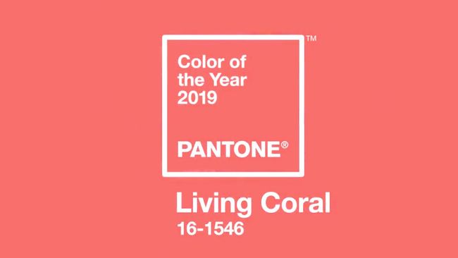 Pantone announces its Color of the Year 2019 | Creative Bloq