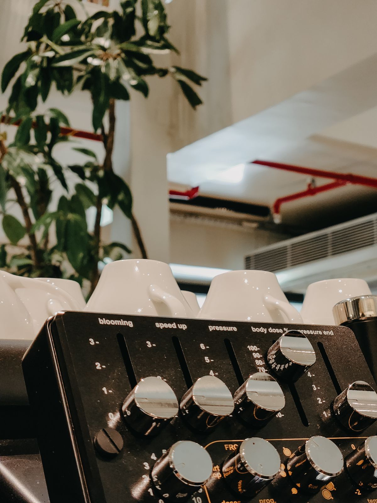 How a Café Powers Eight Different Zones with Just Two Compact ...