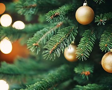 6 Real Christmas Tree Problems – And How To Fix Them Fast | Gardening ...
