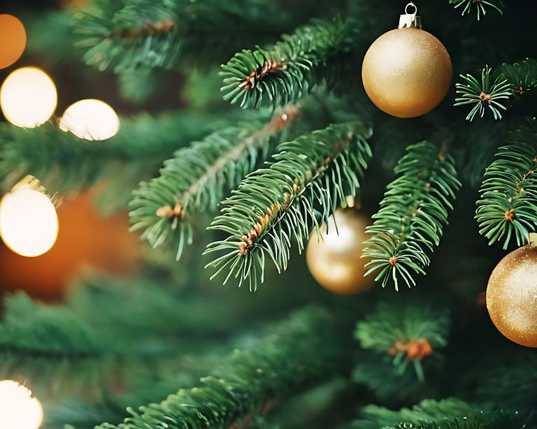 6 Real Christmas Tree Problems – And How To Fix Them Fast | Gardening ...