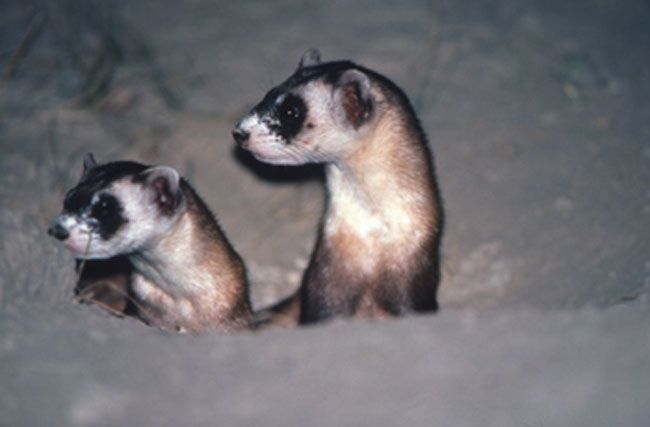 Articles by: Corey Binns | Live Science