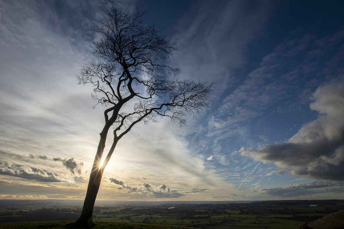 Burst onto the scene! How to achieve a stunning starburst effect in ...