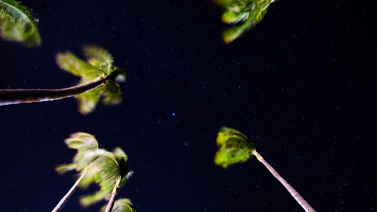 Dark skies and epic Winter Star Party — why the Florida Keys are more ...