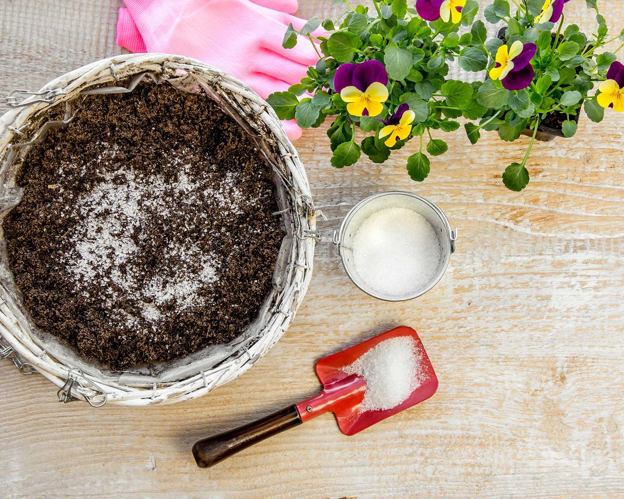 Watering plants while away on vacation: 8 easy tips | Gardeningetc