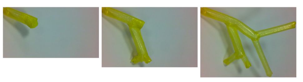 Magic Bots: Vine-Inspired Robots Can Grow on Demand | Live Science