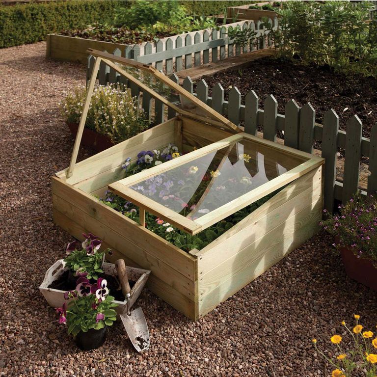 How to grow your own vegetables, fruit, herbs and more at home | Ideal Home