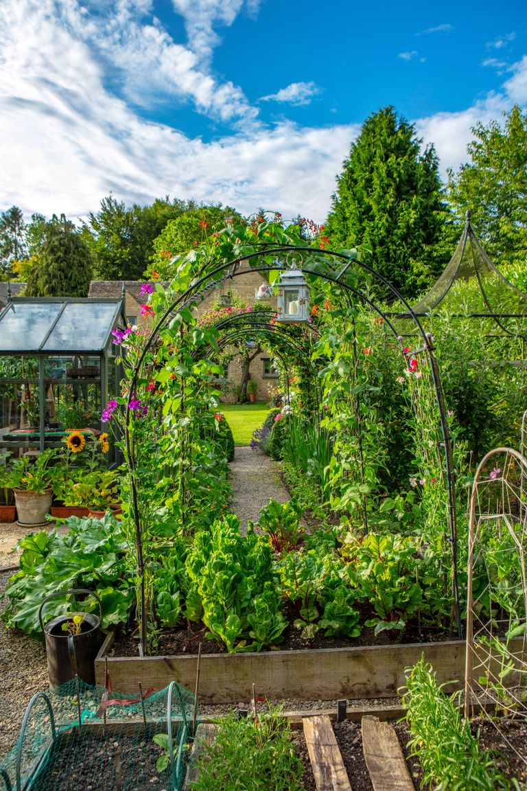 Real garden: be inspired by this cottage garden in the Cotswolds | Real ...
