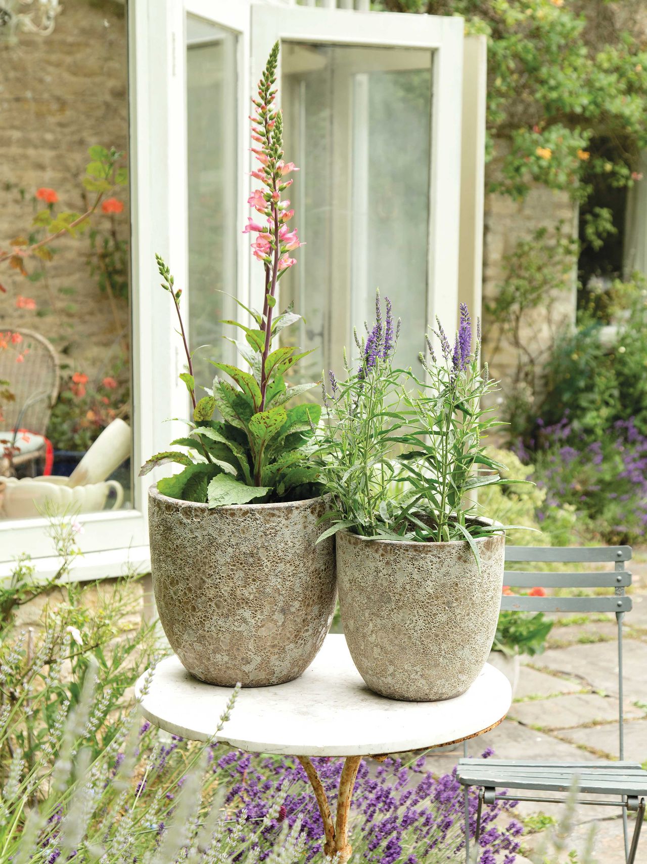 Container gardening ideas: 19 planting designs for year-round colour ...