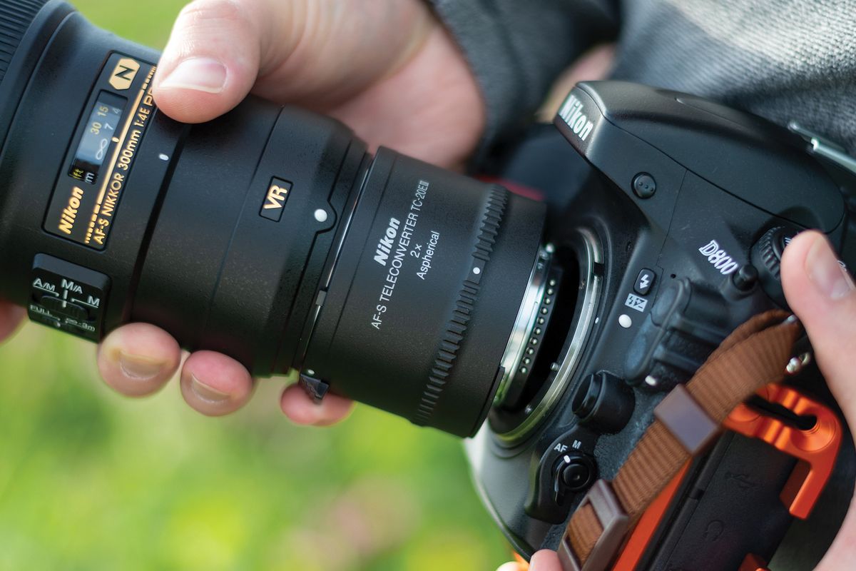 How to photograph birds using a teleconverter | Digital Camera World