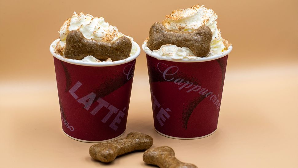 Are puppuccinos safe for dogs? We asked a vet to confirm | PetsRadar