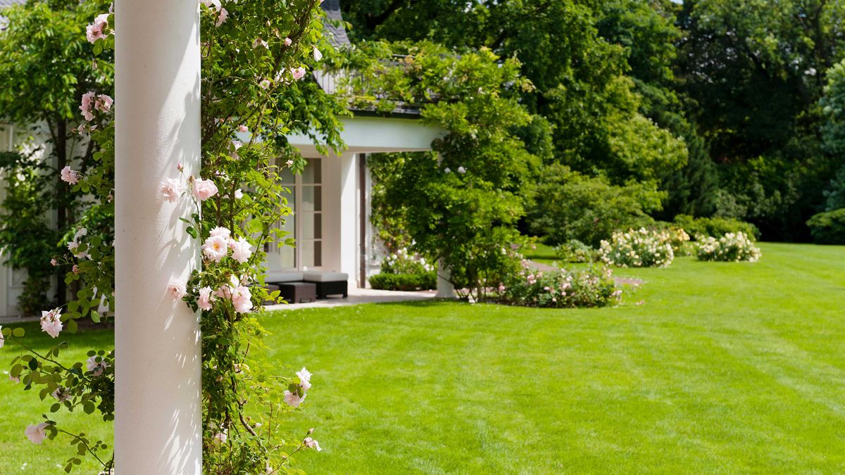 How to grow grass in hot, dry weather: 6 top tips | Gardeningetc