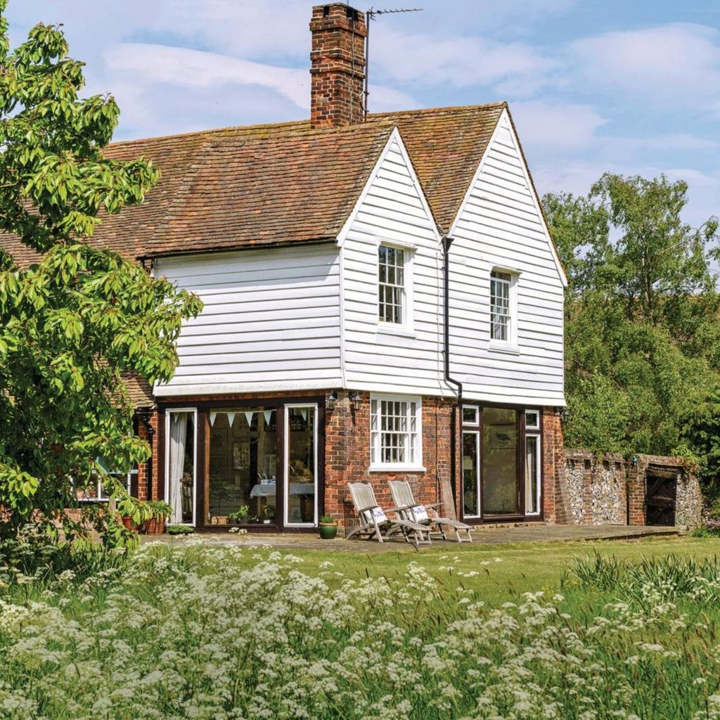 Can bio-washing powder kill weeds? Experts share a warning | Ideal Home