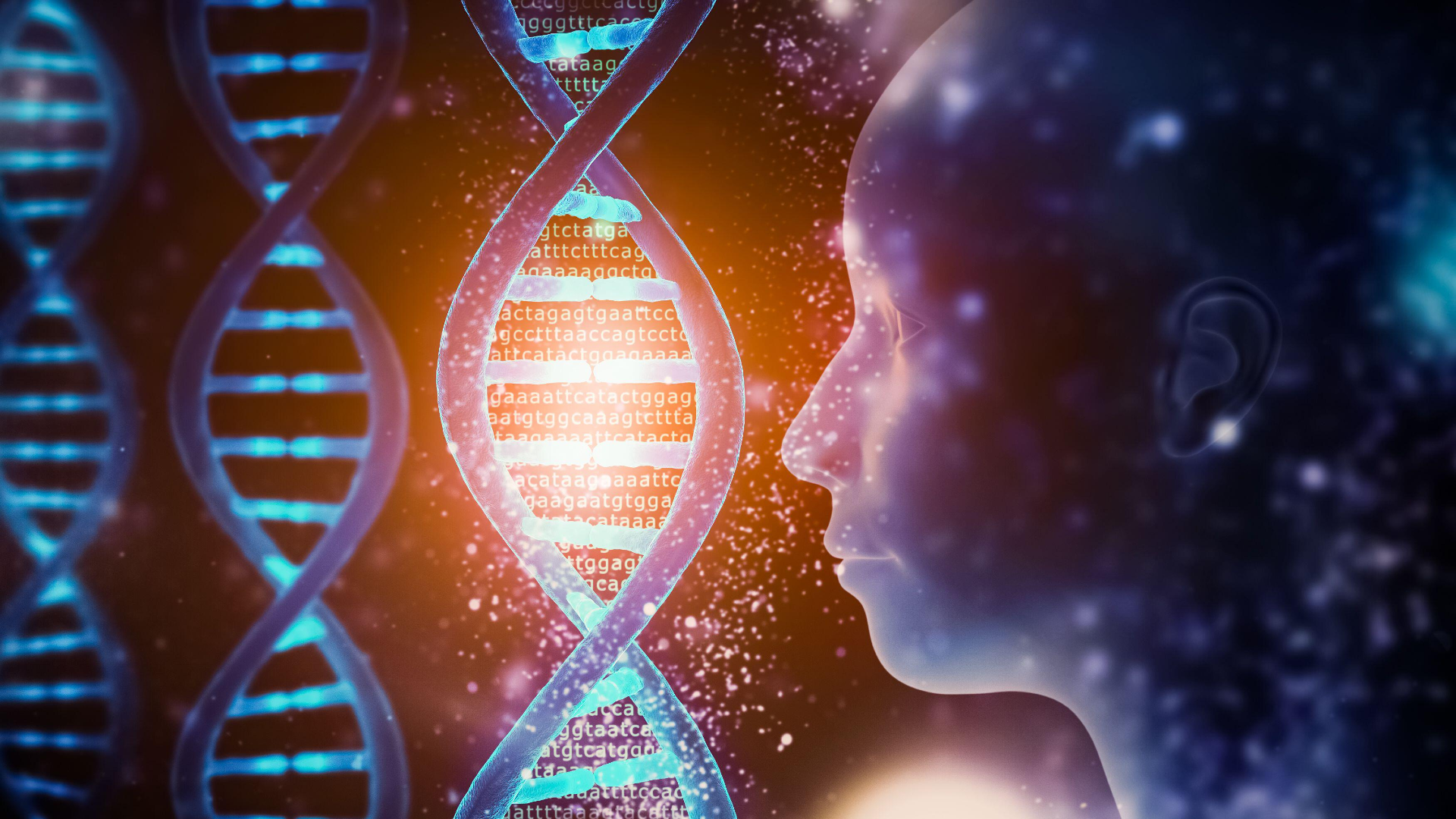 'Mystery population' of human ancestors gave us 20% of our genes and ...