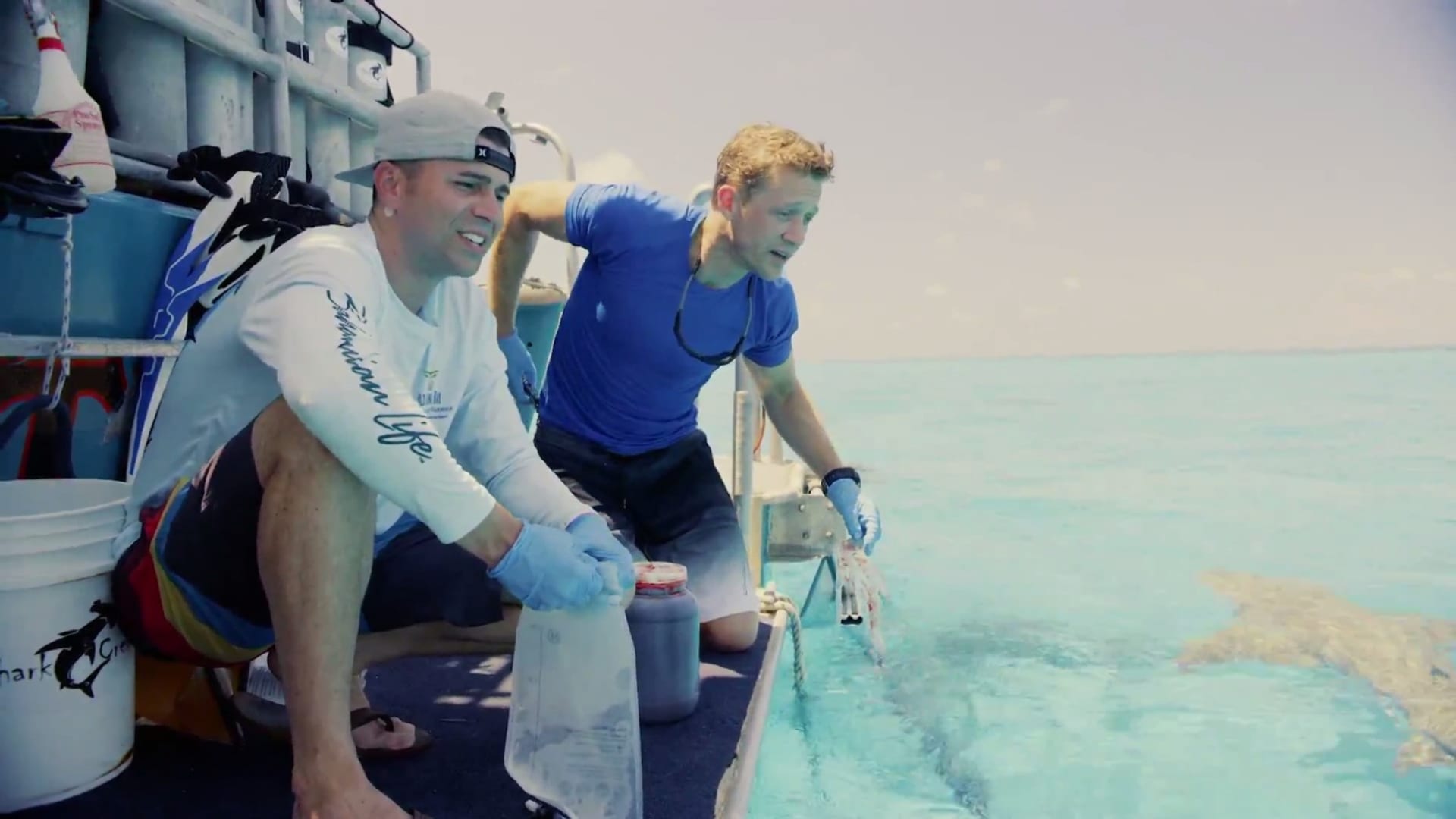 Shark Week streaming guide: How to watch Shark Week 2022 | Live Science