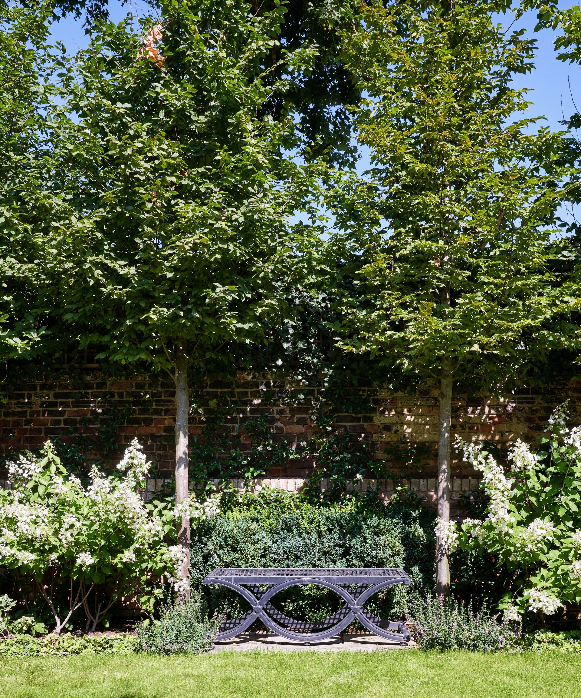 8 surprising garden laws you may be accidentally breaking | Homes and ...