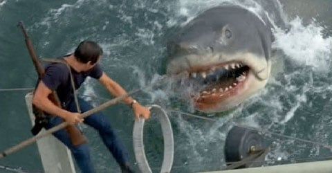 Real-Life Jaws Lurks Off The New York Coast | Cinemablend