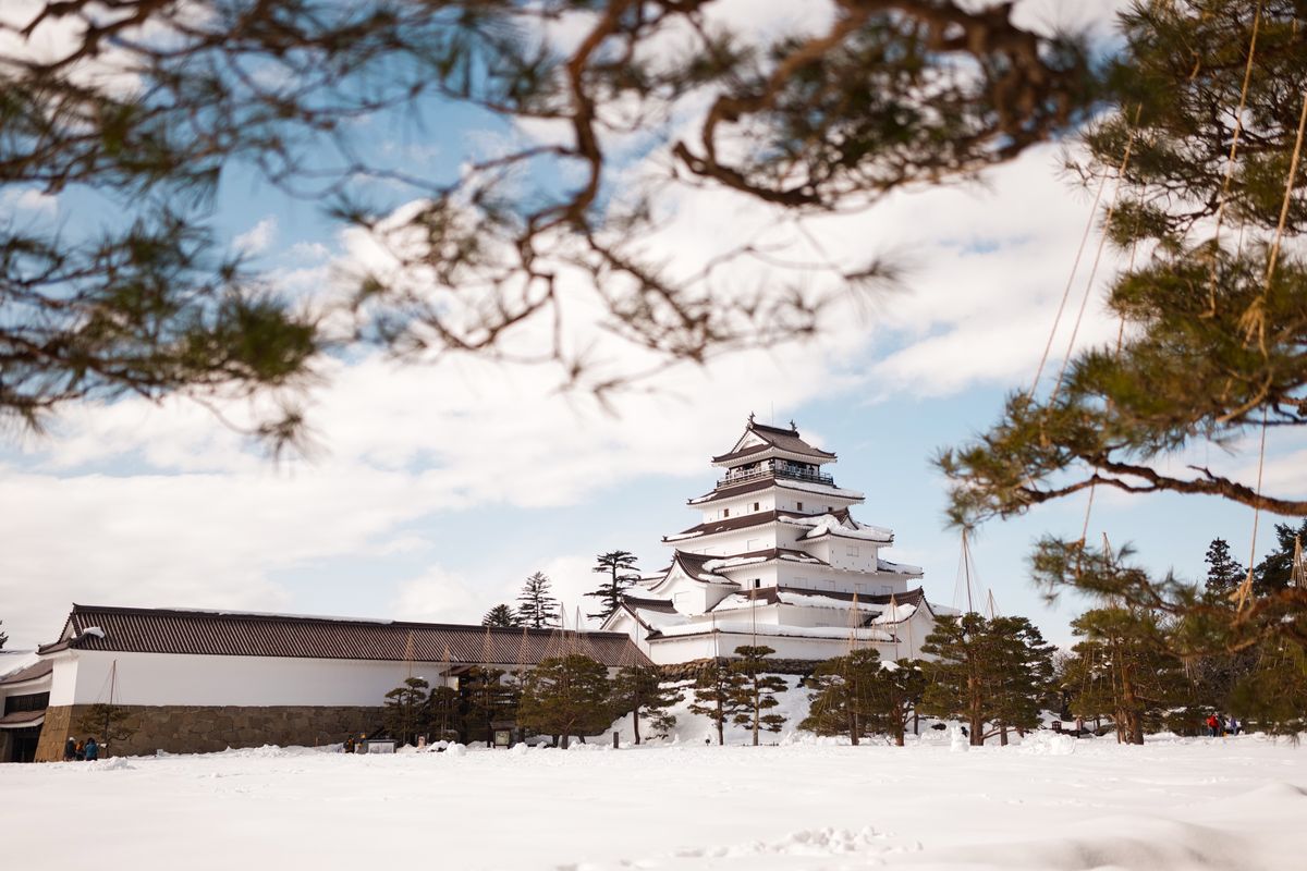 Sigma BF review: the camera that beats Leica at its own game | Digital ...