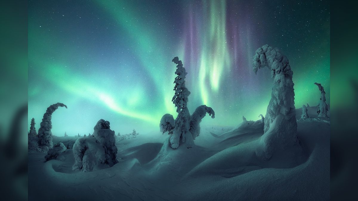 25 breathtaking images of the northern lights | Live Science
