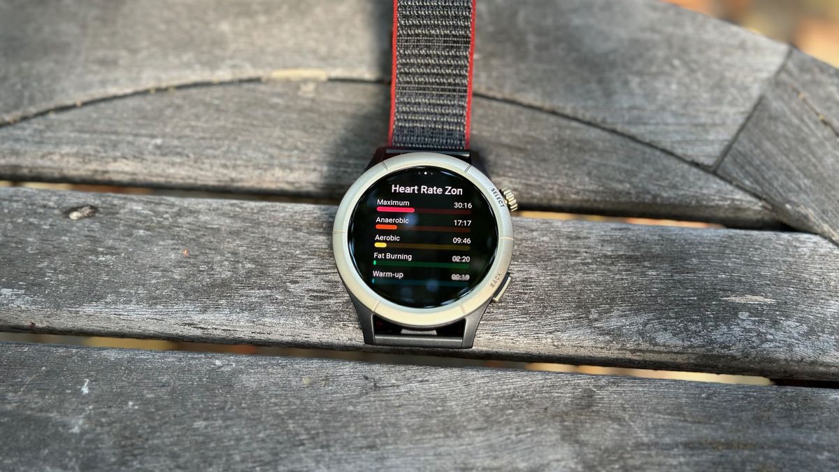Amazfit Cheetah Pro review: A Garmin Forerunner Lite with more bells ...