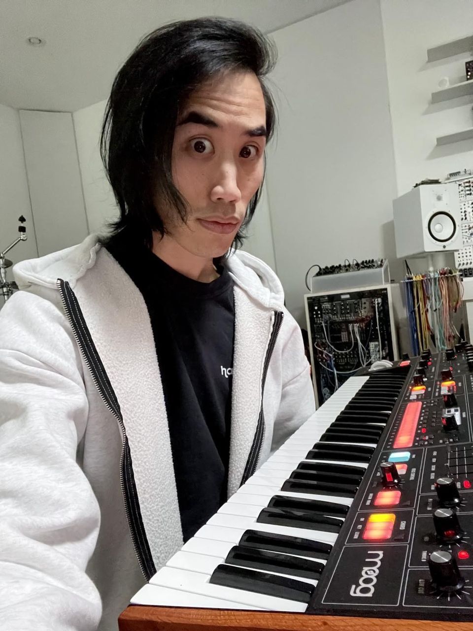 People Are Gonna Flip Over This Moogs New Synth Teased In Ushers