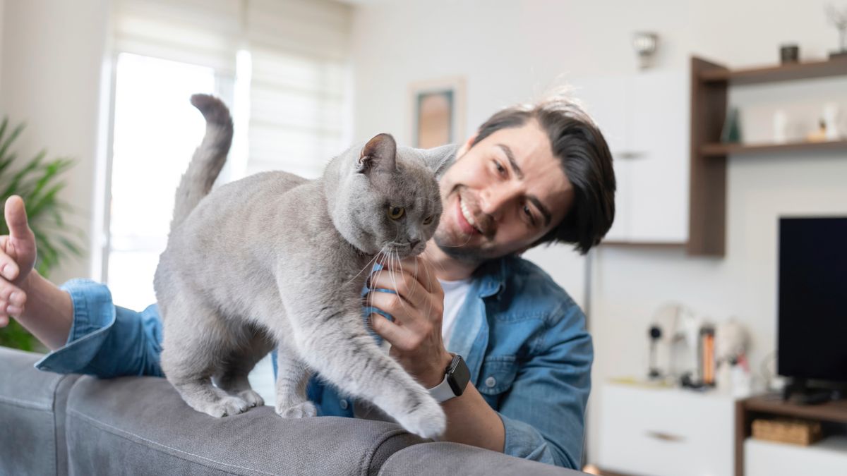 32 ways having a pet changes your life (and we know it!) | PetsRadar