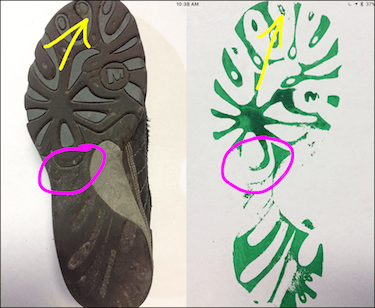 Pointmaker Launches Legal Training App | AVNetwork