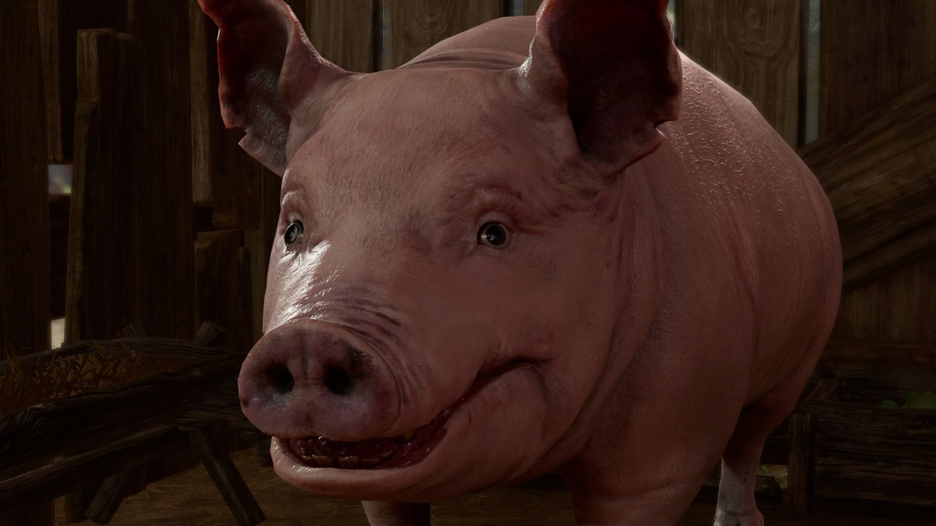 Interviewing animals in Baldur's Gate 3 is my new favorite RPG pastime ...