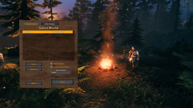 Vaheim dedicated server guide: Here's how to set one up | PC Gamer