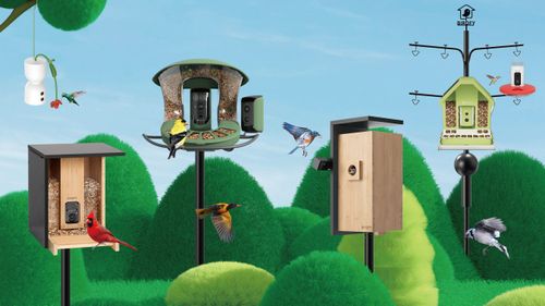 The amazing Petal AI-enabled bug-cam images and identifies backyard ...