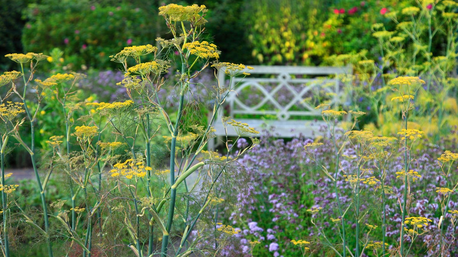 Wildlife garden ideas: turn a backyard into a natural haven | Homes and ...