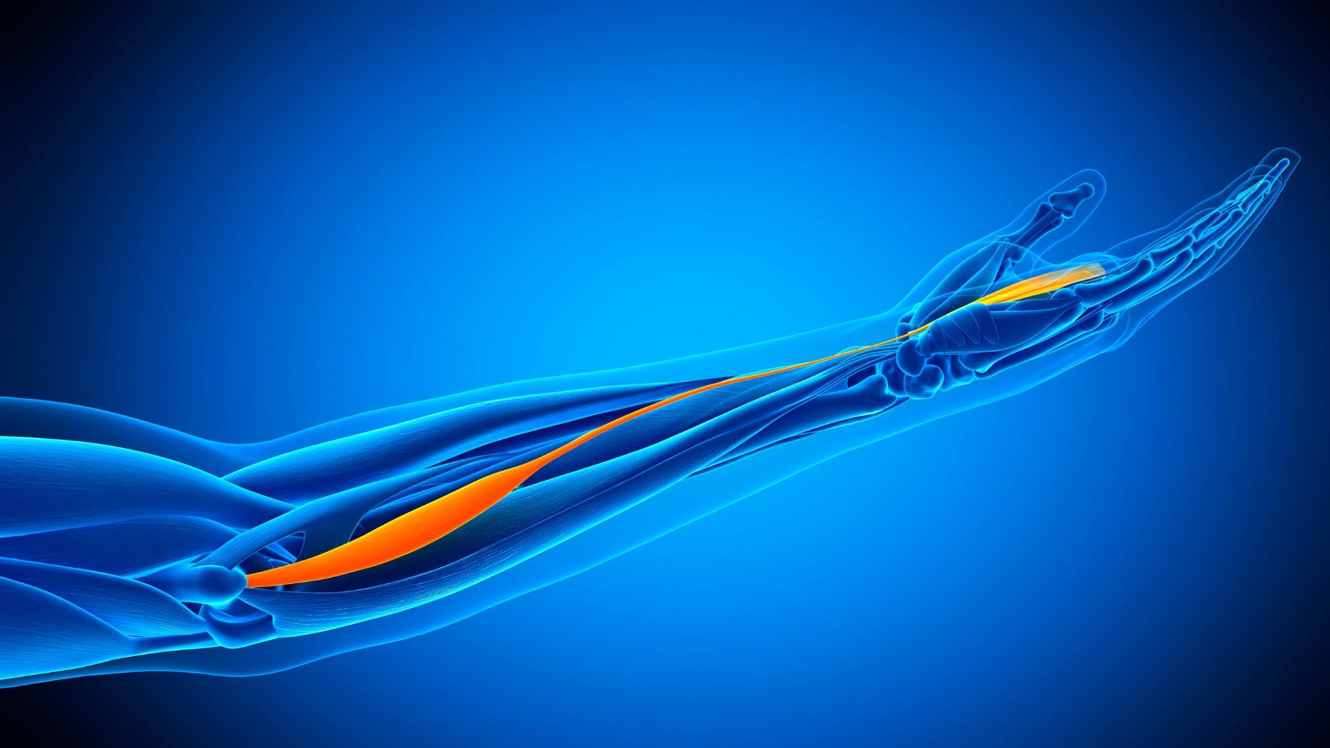 10 body parts that are useless in humans (or maybe not) | Live Science