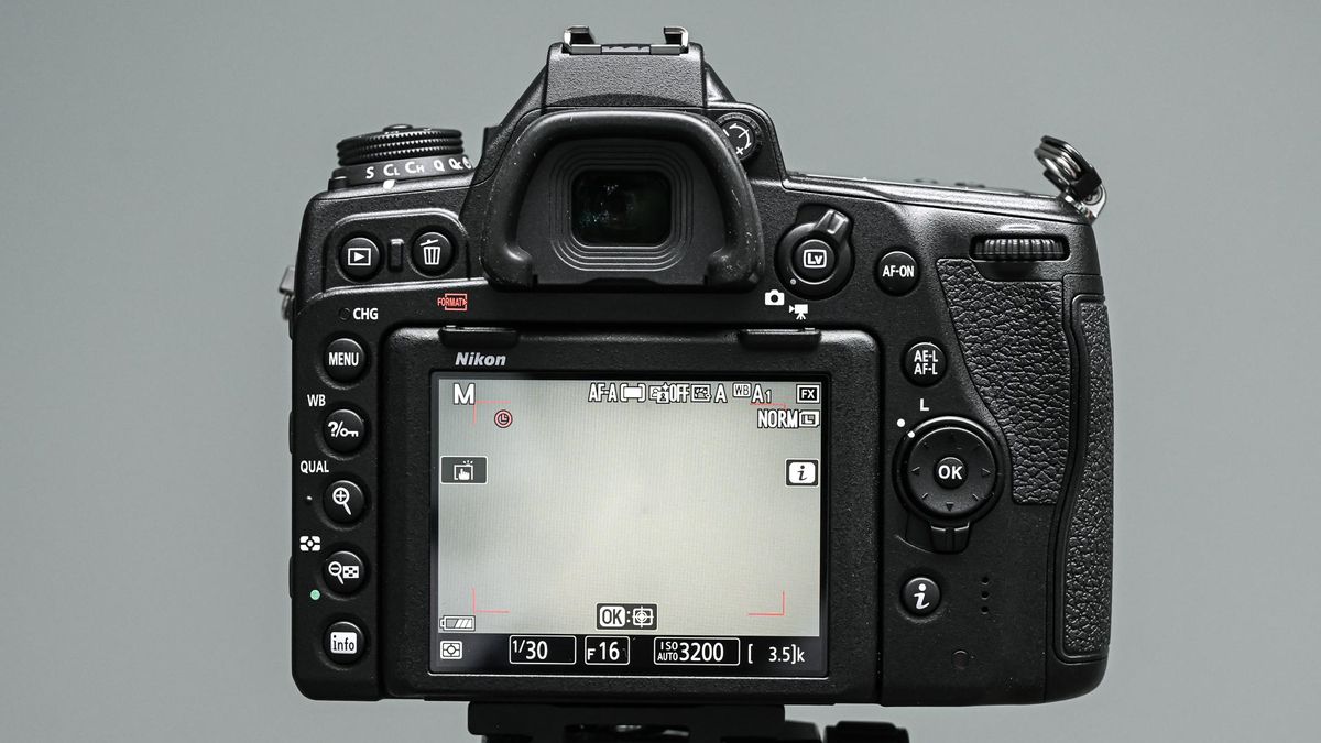 Nikon D780 review | Space