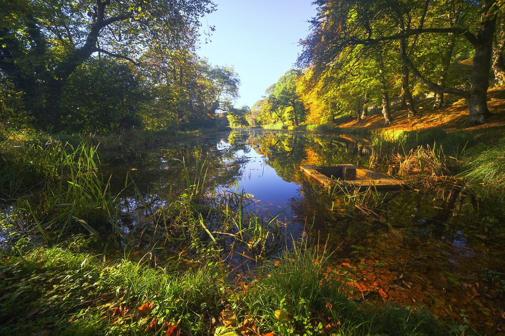 11 breathtaking images of The Gower, the spot so magnificent it ...