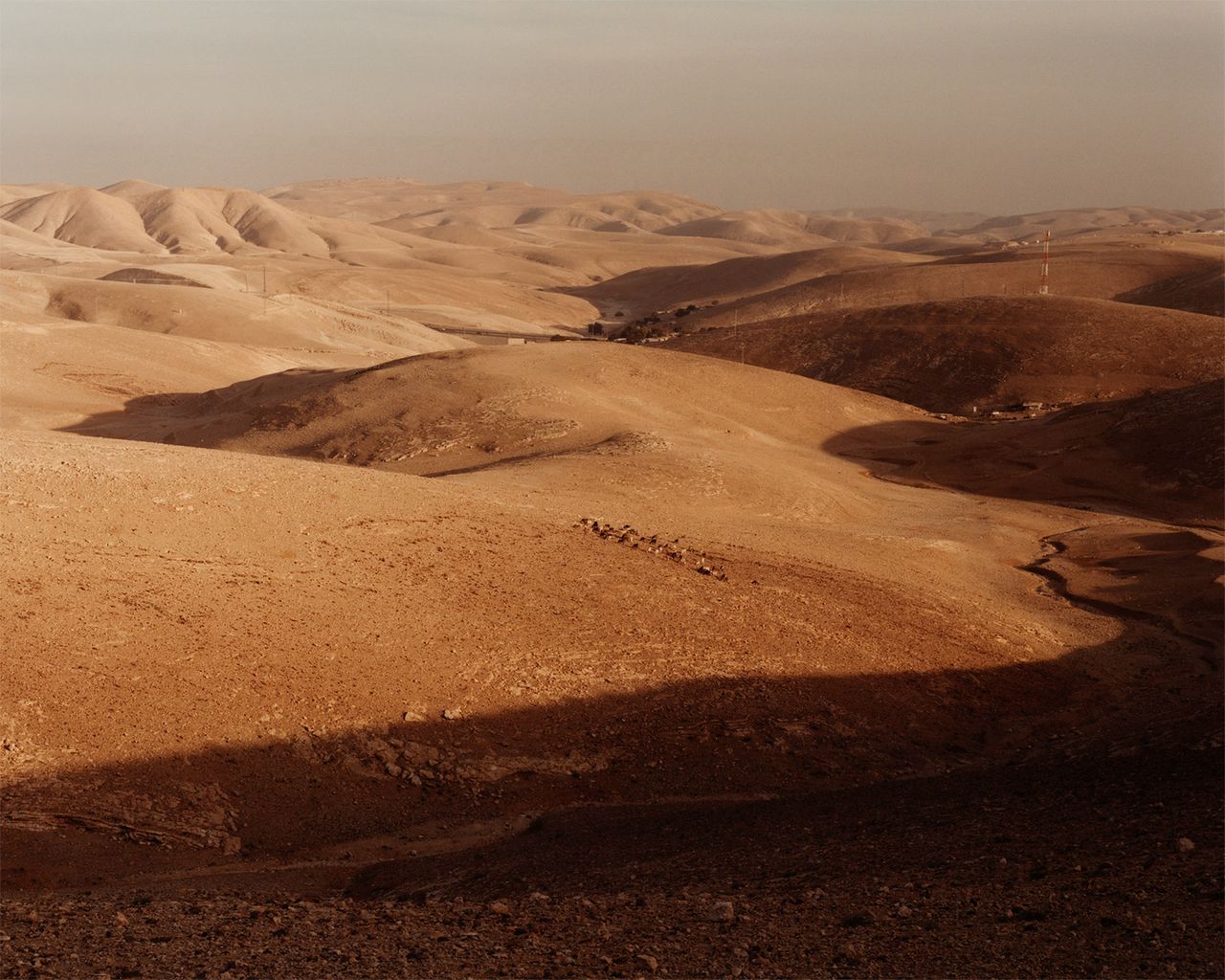 Head to head with photographer Tom Johnson | Wallpaper*