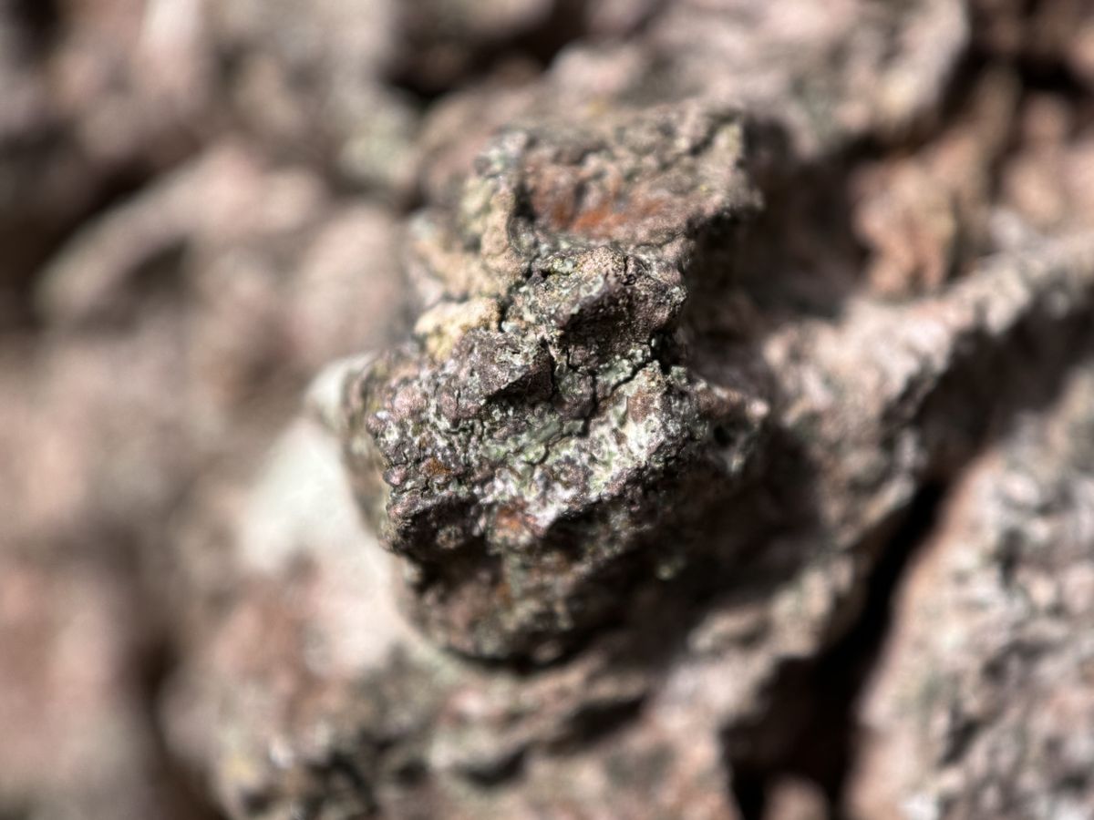 Sandmarc iPhone lens review | Tom's Guide