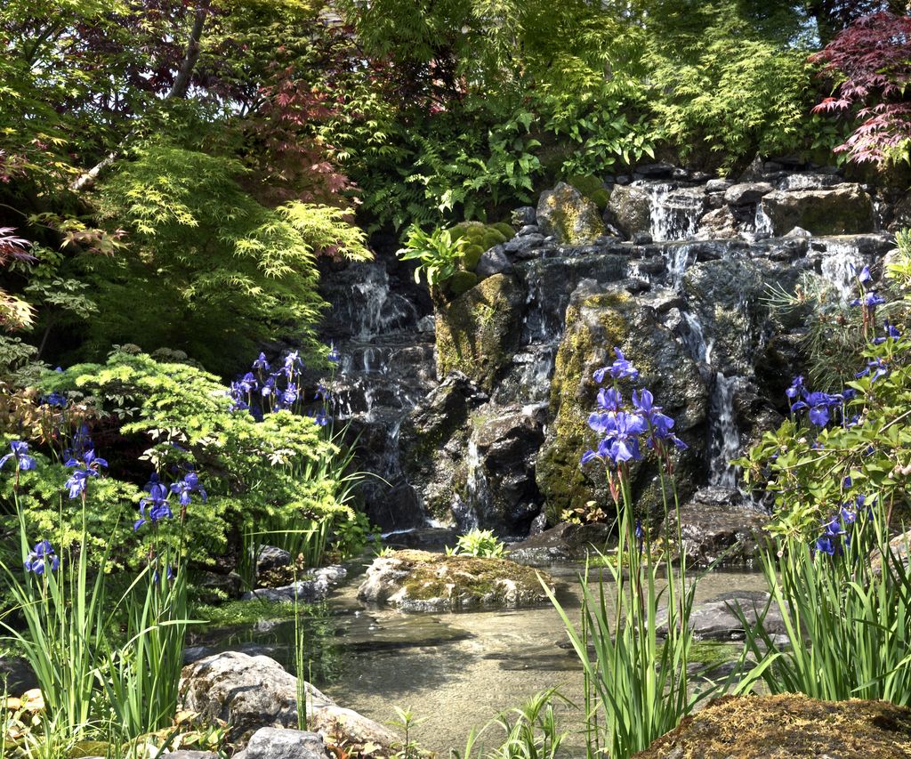 New plant varieties from US plant breeders unveiled | Homes and Gardens